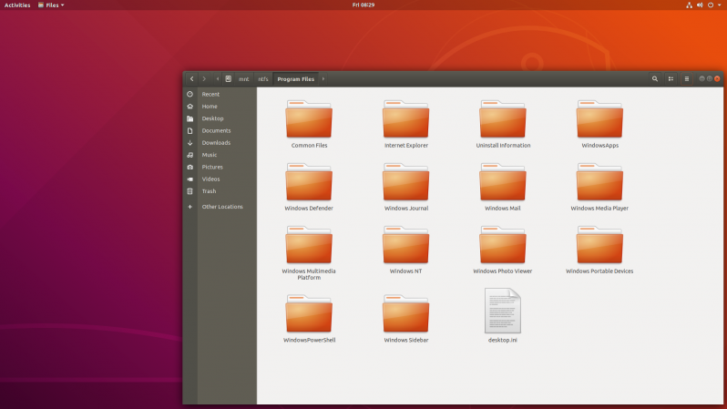 Microsoft NTFS for Linux by Paragon Software - Introduction