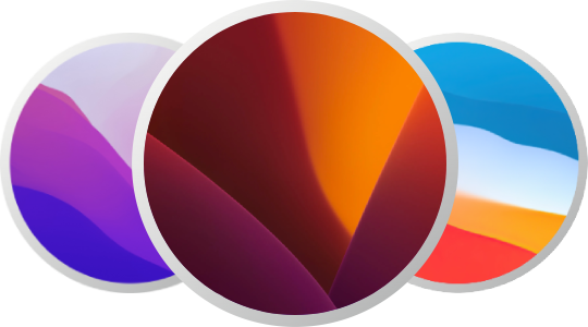 Microsoft NTFS for Mac | Paragon Software